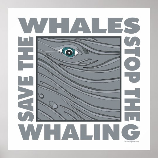 Save the Whales Poster | Zazzle.co.uk