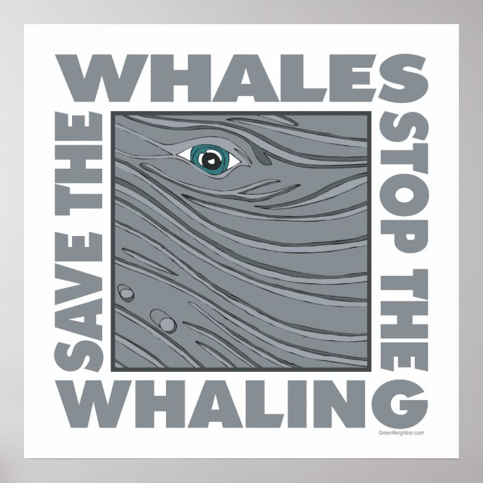 Save the Whales Poster | Zazzle.co.uk