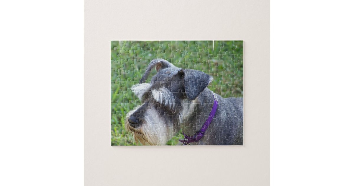 Schnauzer Puzzle | Zazzle