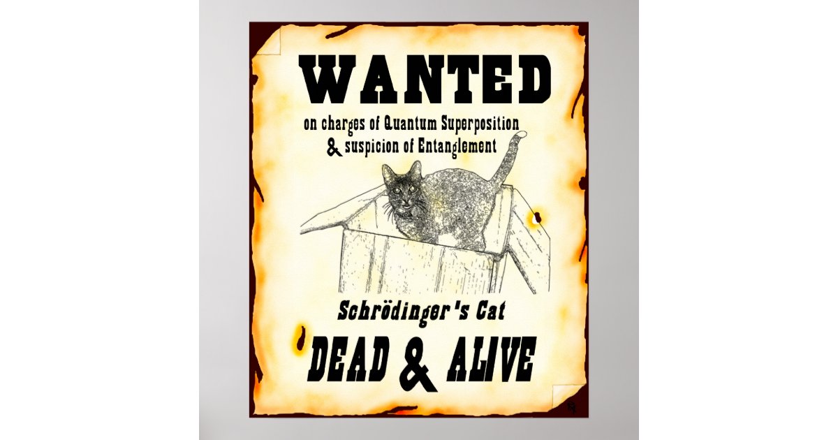 Schrodinger's Cat "Wanted" Poster | Zazzle