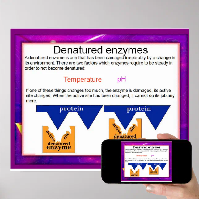Science, Digestion,Denatured Enzymes Poster | Zazzle