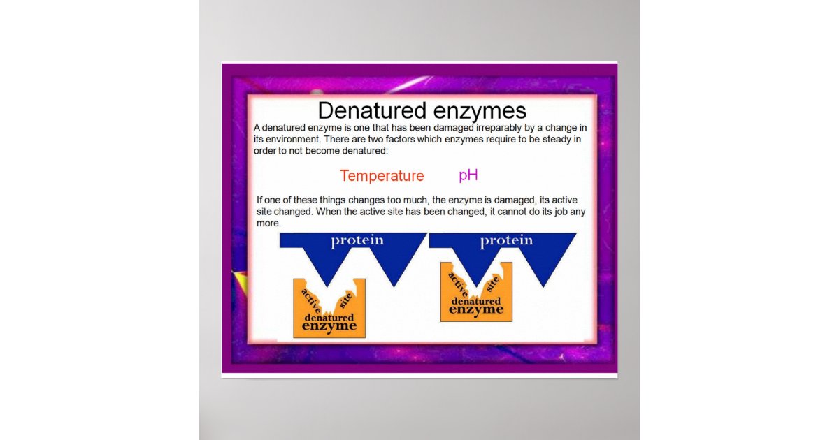 Science, Digestion,Denatured Enzymes Poster | Zazzle