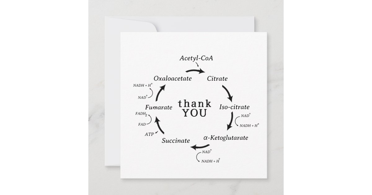 Science Thank You Teacher Kreb's Cycle Biology | Zazzle