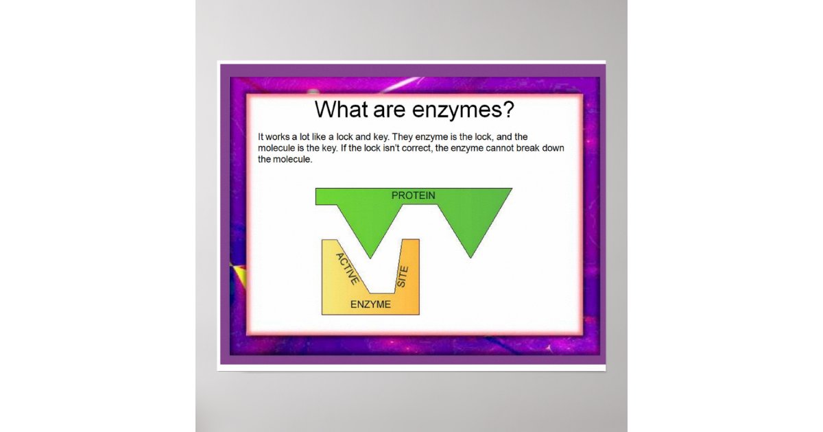Science,What are enzymes? Poster | Zazzle