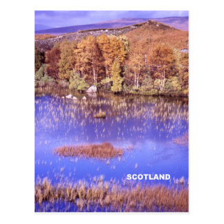 Custom Scotland Postcards | Zazzle.co.uk