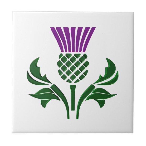 Scottish Thistle Decorative Ceramic Tiles | Zazzle.co.uk