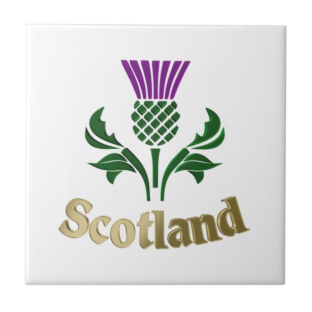 Scottish Thistle Decorative Ceramic Tiles | Zazzle