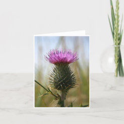 Thistle Cards | Zazzle UK
