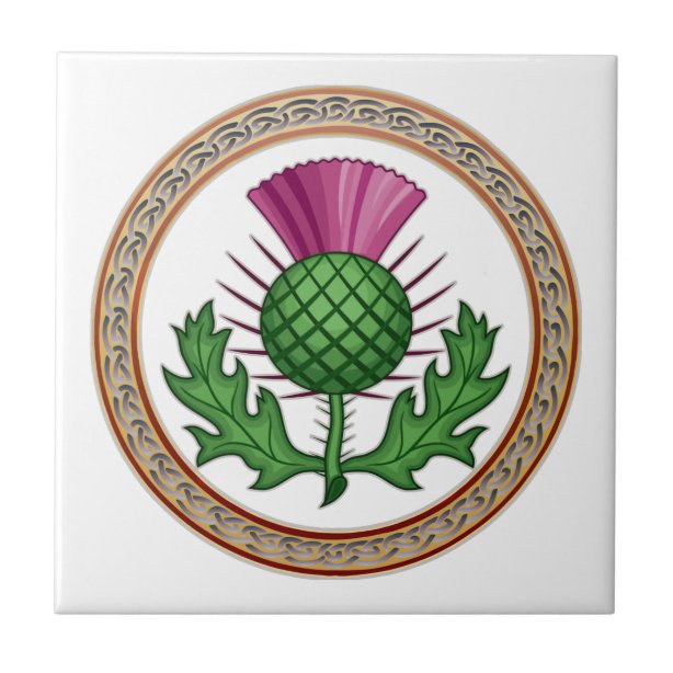 Scottish Thistle Decorative Ceramic Tiles | Zazzle