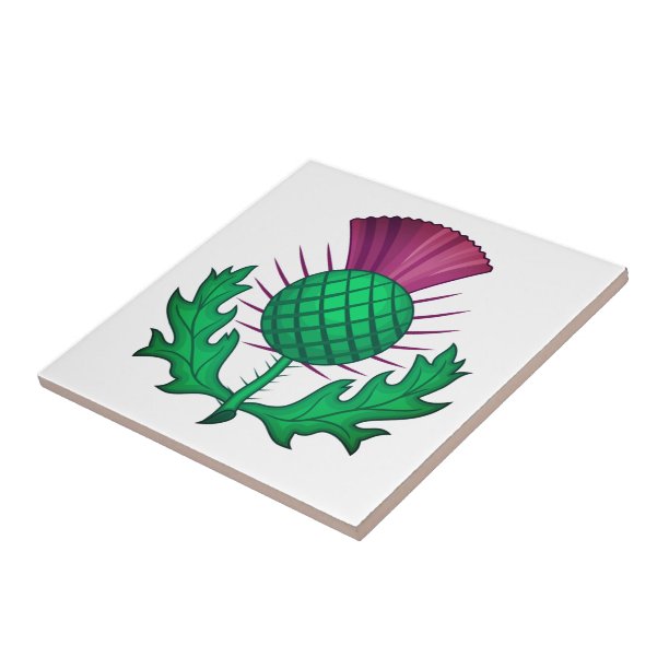 Scottish Thistle Decorative Ceramic Tiles | Zazzle UK