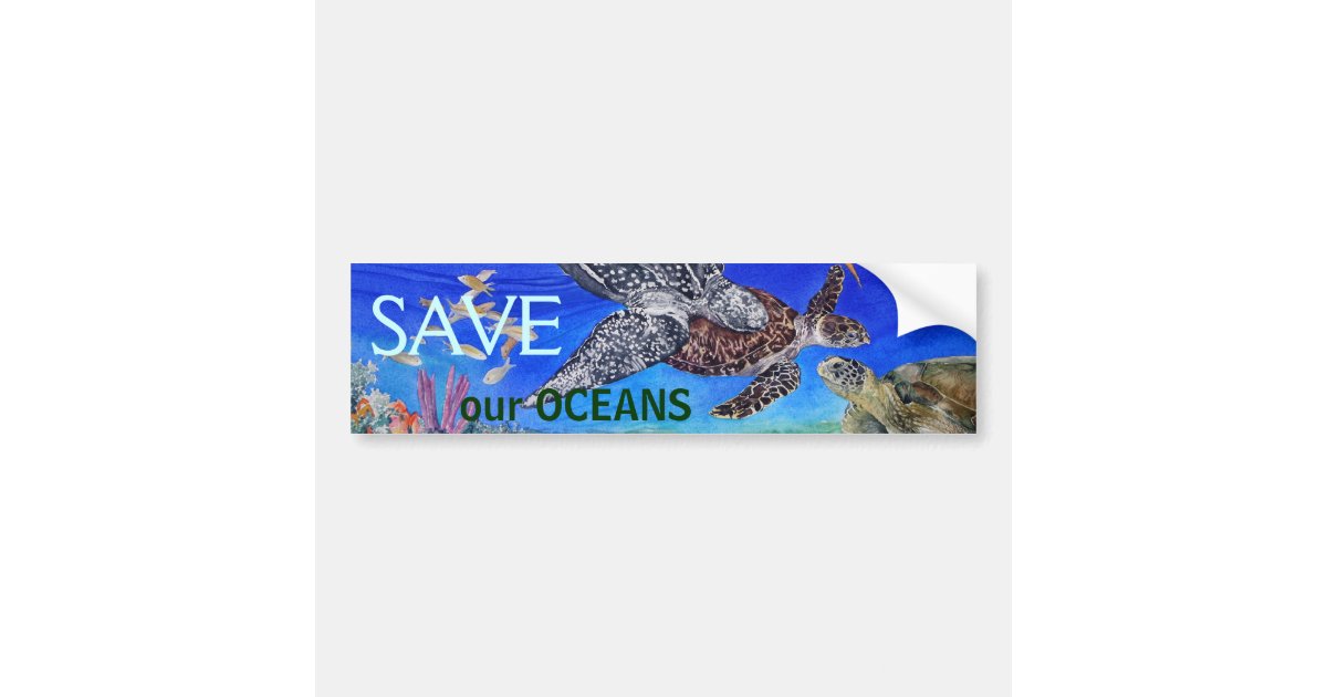 Sea Turtle Art Endangered Species Bumper Sticker | Zazzle