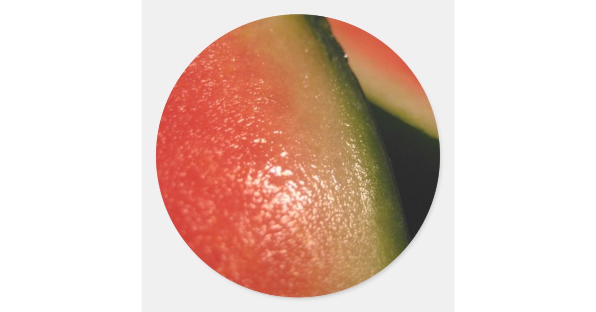 seedless watermelon classic round sticker | Zazzle