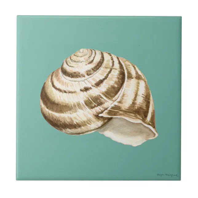 Sepia Striped Shell on Teal Tile | Zazzle