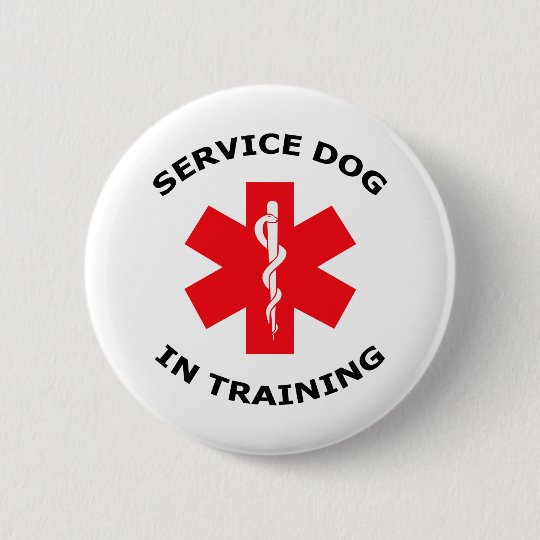 SERVICE DOG IN TRAINING 6 CM ROUND BADGE | Zazzle.co.uk