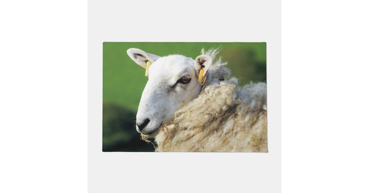 SHEEP DOORMAT | Zazzle