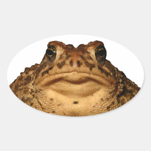 Toad Stickers & Labels | Zazzle UK
