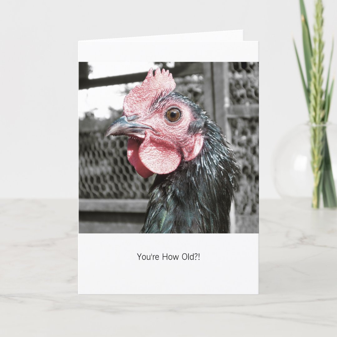 Shocked Chicken - Funny Hen Birthday Card | Zazzle