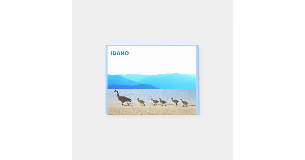 Shore Patrol - Canada Geese Post-it Notes | Zazzle