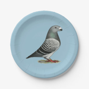 Racing Pigeon Gifts & Gift Ideas | Zazzle UK