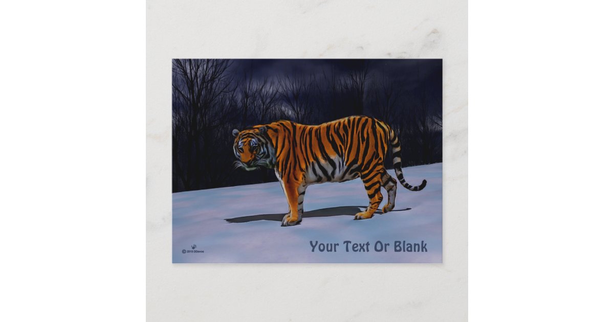 Siberian Tiger Postcard | Zazzle