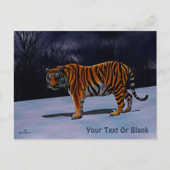 Siberian Tiger Postcard | Zazzle