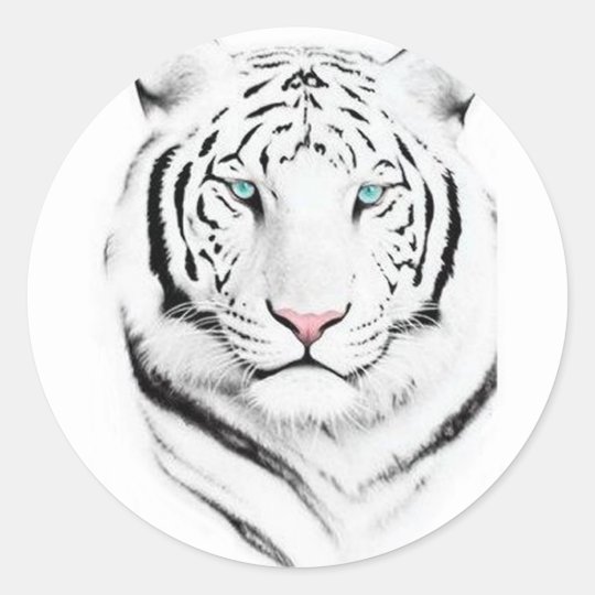 Siberian White Tiger Classic Round Sticker | Zazzle.co.uk