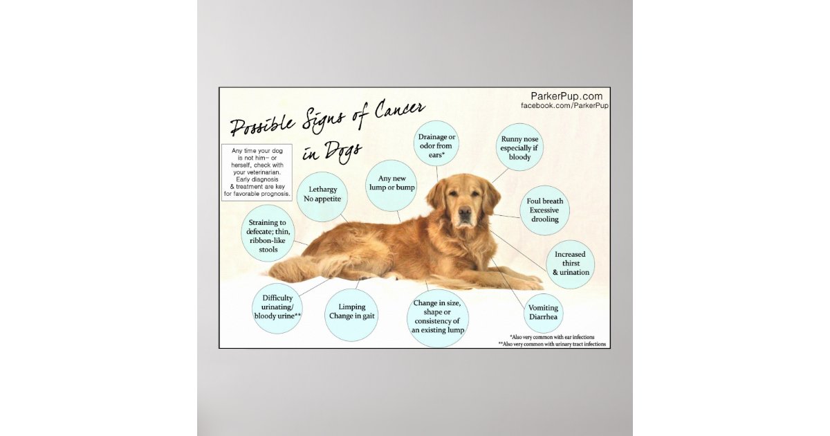 Signs of Cancer Poster | Zazzle