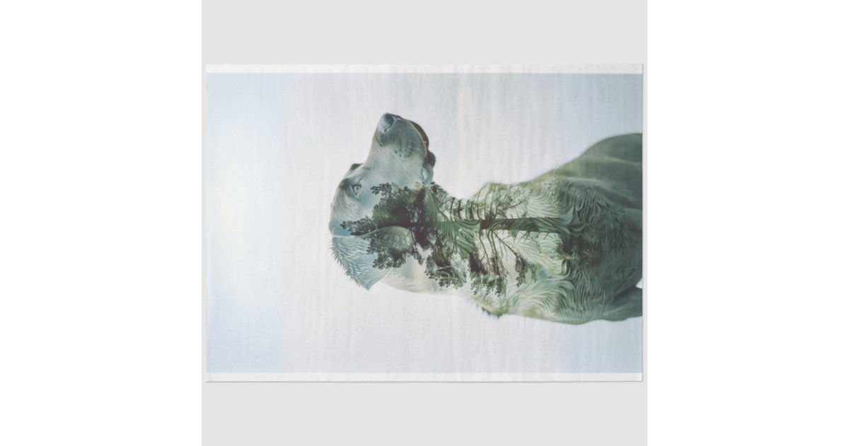 Silhouette Lab Exposed Film Decoupage Tissue Paper | Zazzle