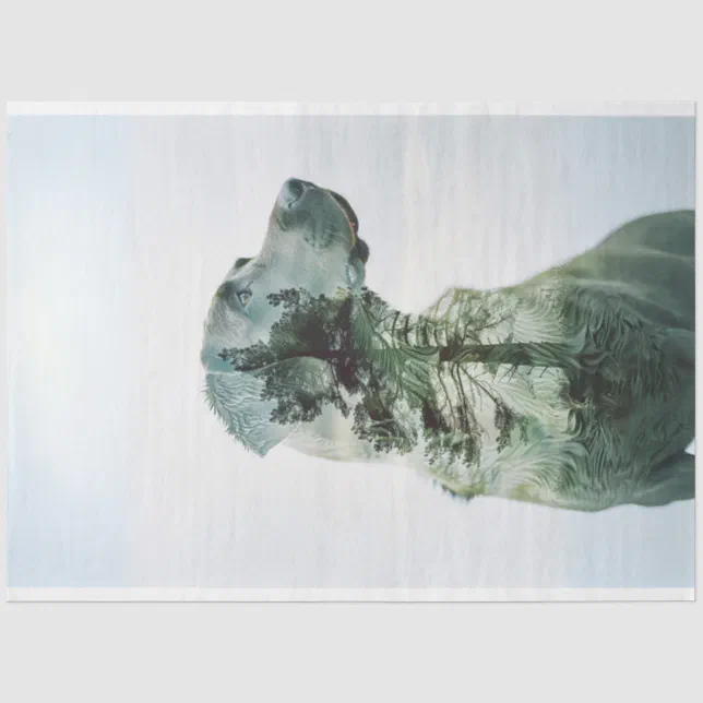 Silhouette Lab Exposed Film Decoupage Tissue Paper | Zazzle