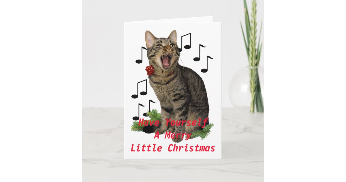 Singing Christmas Cat Holiday Card | Zazzle.co.uk