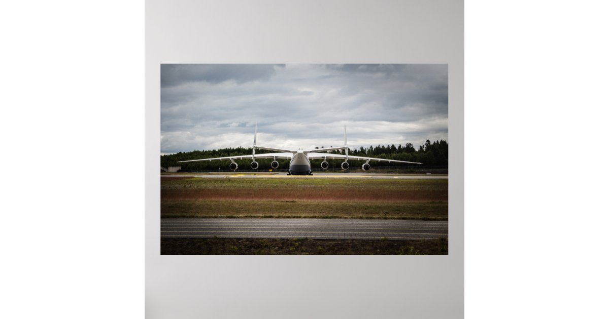 Sitting duck poster | Zazzle