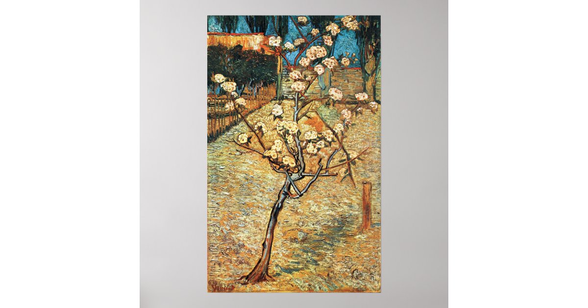 Small Pear Tree in Bloom by Vincent van Gogh Poster | Zazzle