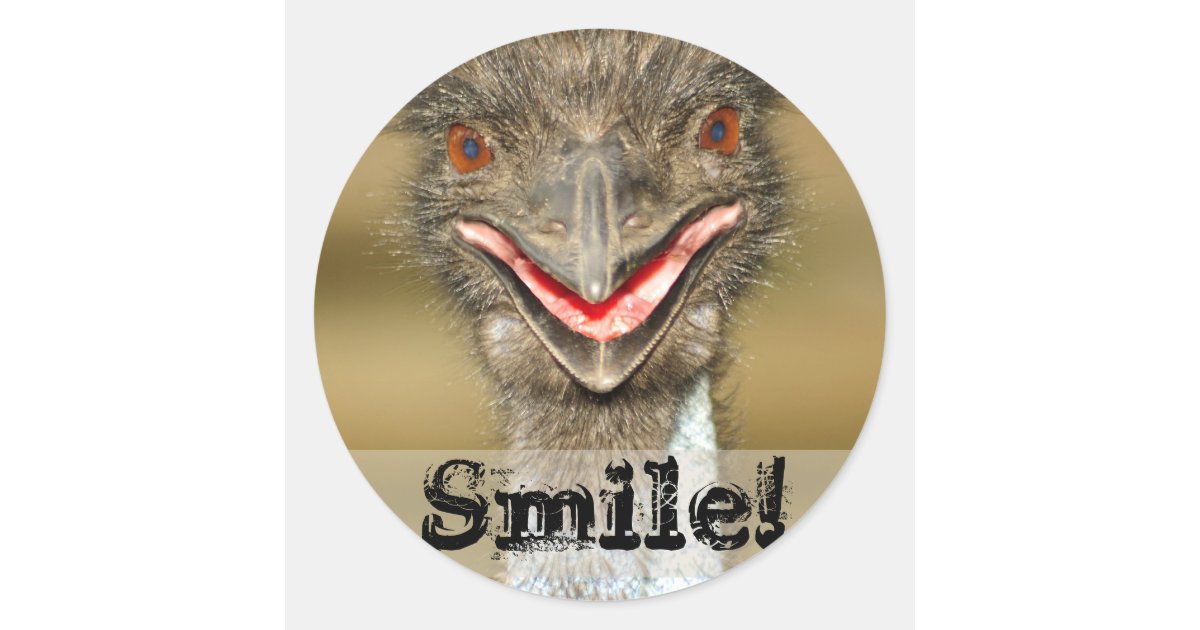 Smile Sticker | Zazzle