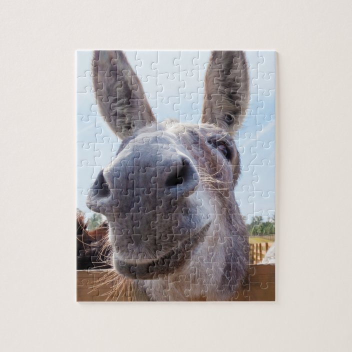 Smiling Donkey Puzzle | Zazzle.co.uk