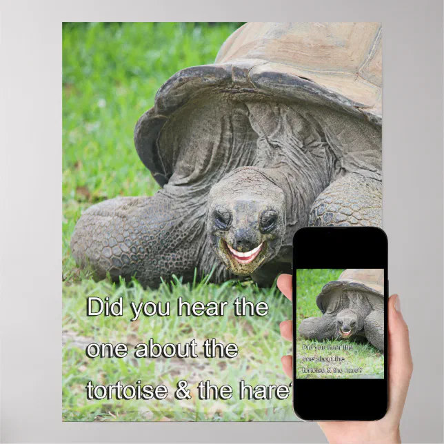 Smiling Tortoise Poster | Zazzle