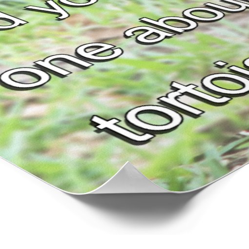 Smiling Tortoise Poster | Zazzle