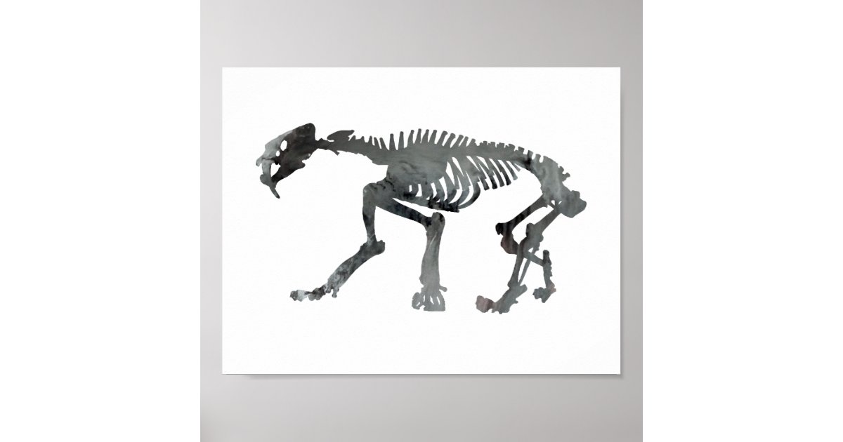 Smilodon skeleton poster | Zazzle