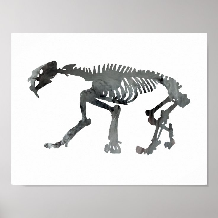 Smilodon skeleton poster | Zazzle