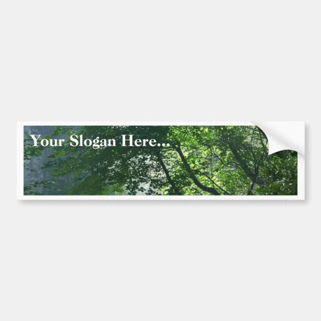 Smokey Paths Trails Forests Woods Bumper Sticker | Zazzle