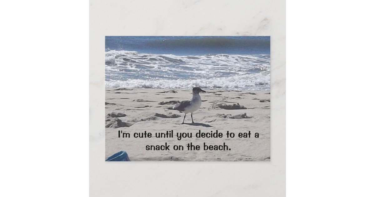 Sneaky Bird on the Beach Postcard | Zazzle