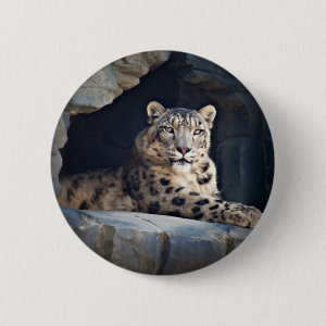 Snow Leopard Gifts & Gift Ideas | Zazzle UK