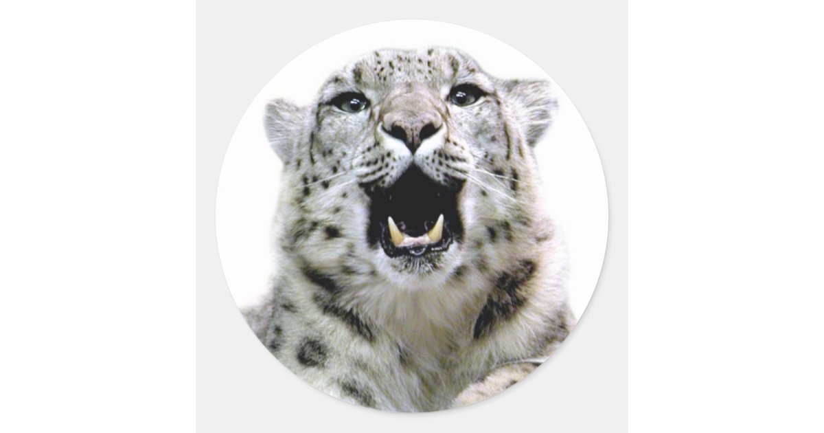 Snow Leopard Classic Round Sticker | Zazzle