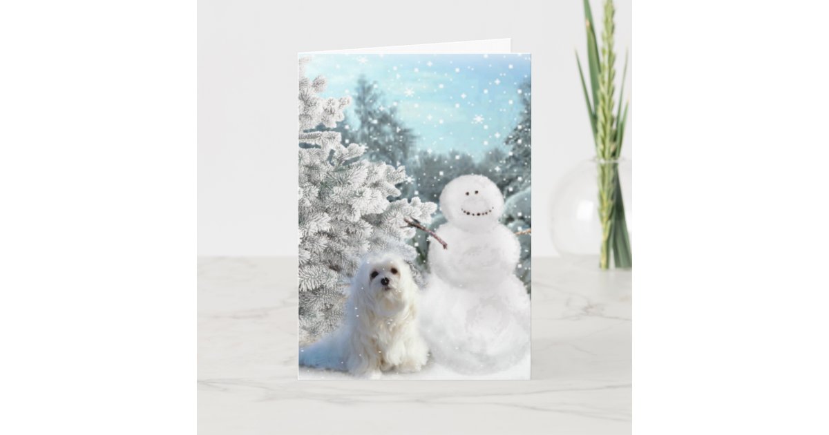 Snowdrop the Maltese Christmas Card | Zazzle