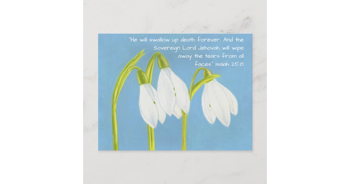 SnowDrops Flowers Postcard | Zazzle