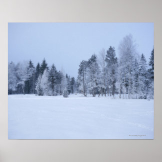 Winter Scene Posters & Prints | Zazzle.co.uk
