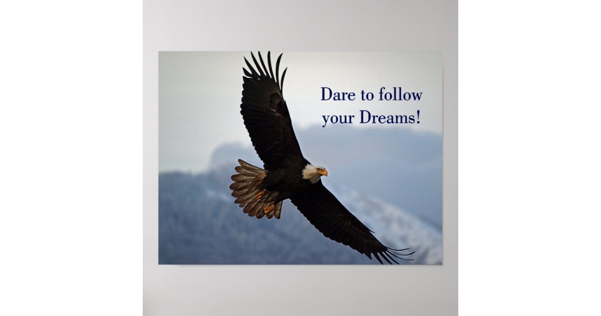 Soaring Bald Eagle Inspirational Quote Poster | Zazzle