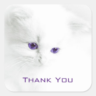 Cute Thank You Cat Stickers | Zazzle.co.uk