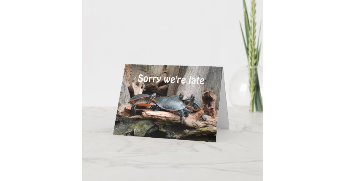 Sorry we're late Turtles birthday greeting card | Zazzle