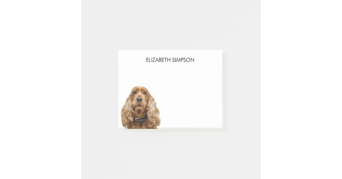 Spaniel Dog Post-it Notes | Zazzle