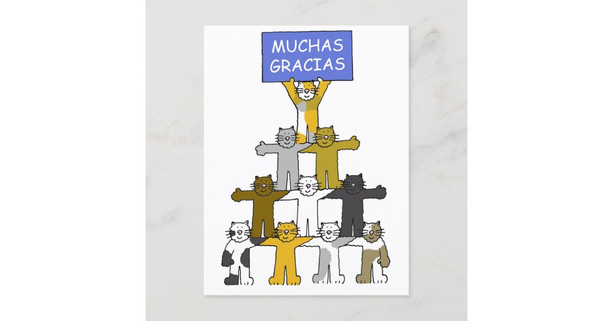 Spanish Thank you Muchas Gracias Cartoon Cats Postcard | Zazzle